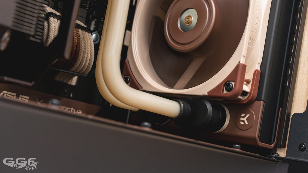 ASUS X NOCTUA – GGF Events